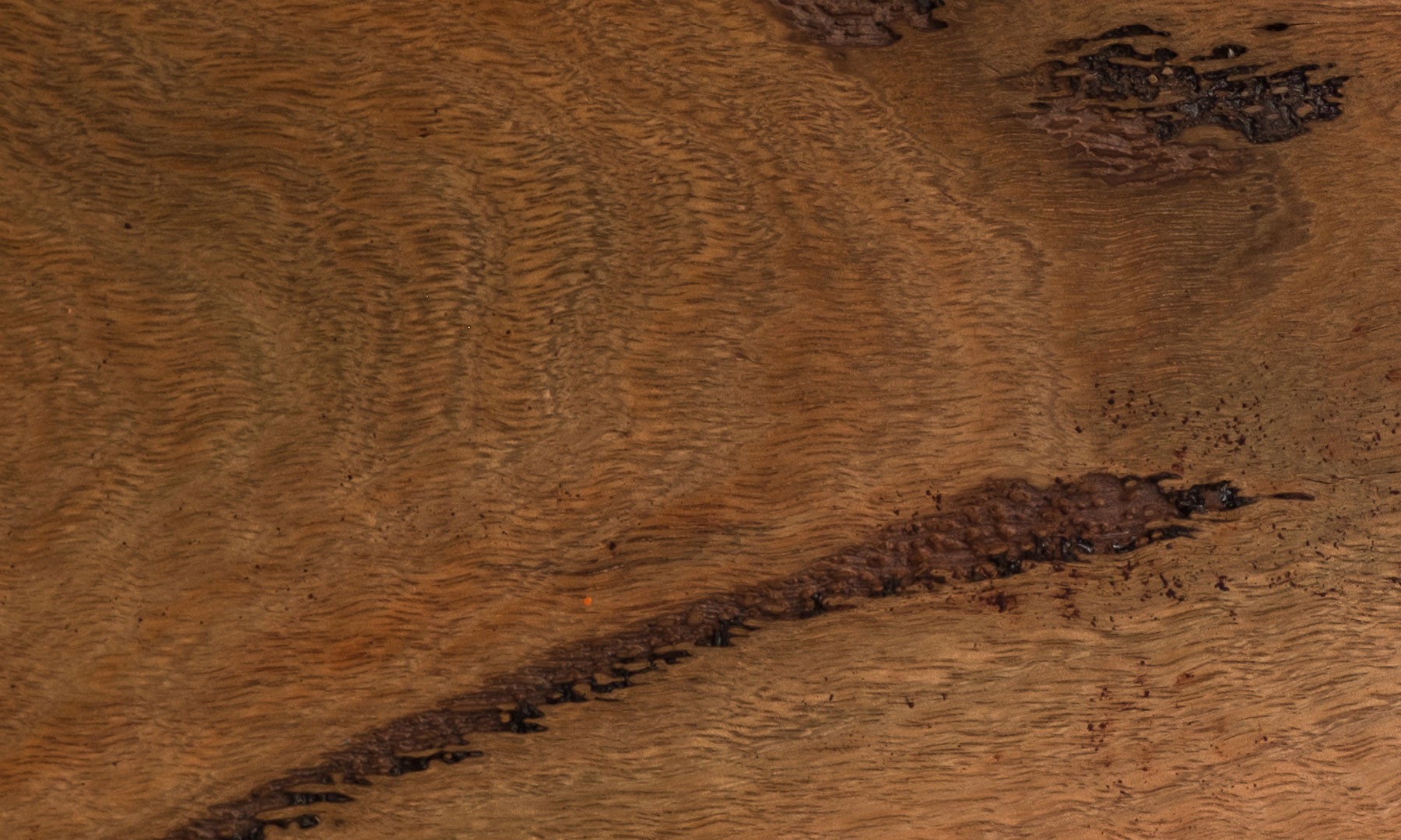 Marri — Ridgewood Timber — Importers and Wholesalers of Quality Timber ...